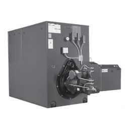 Alpine Gas-Fired Hot Water Boiler User's Information Manual | Manualzz