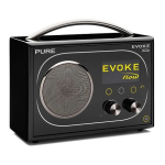 Pure Radio Software Upgrade via USB Guide | AI Chat & PDF | Manualzz