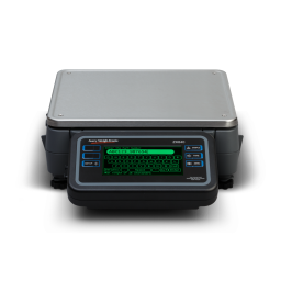 Precision Scale ZK840 ZK840 - Technical Specification | Manualzz