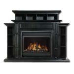 GD36NTR, BGD36NTR Fireplace Manual: AI Chat & PDF | Manualzz