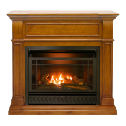 ProCom Heating FBD28T Ventless Fireplace Installation manual | Manualzz