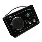 Pure Radio Software Upgrade via USB Guide | AI Chat & PDF | Manualzz