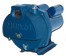 Munro LP200B LP Series 70 gpm 2 hp Cast Iron Centrifugal Pump ...