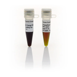 Thermo Fisher Scientific O'RangeRuler 100 bp DNA Ladder User Guide ...