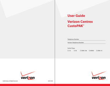 Verizon Centrex CustoPAK User Guide | Manualzz