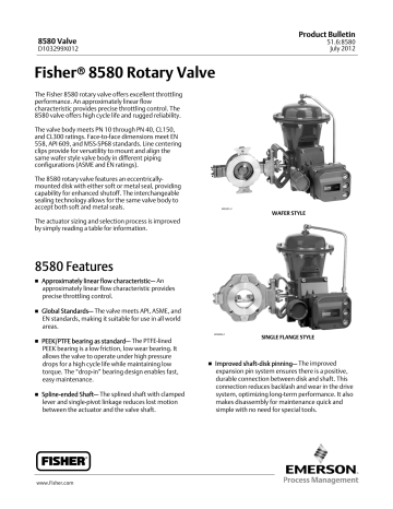 Emerson Fisher 8580 Data Sheet | Manualzz