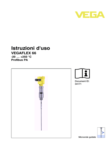 VEGAFLEX 66 Istruzioni d'uso | Manualzz