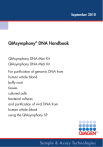 QIAGEN QIAsymphony DNA Mini & Midi Kits Handbook | Manualzz