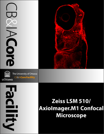 Zeiss LSM 510 AxioImager.M1 User Guide | Manualzz