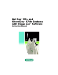 ChemiDoc MP Imaging System MP User Guide | Manualzz