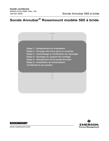 Rosemount Sonde Annubar® modèle 585 à bride Mode d'emploi | Manualzz