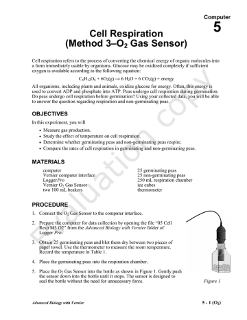 Cell Respiration O2 Gas Sensor User Manual | Manualzz