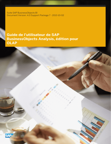 SAP BusinessObjects Analysis édition pour OLAP Guide de l'utilisateur | Manualzz