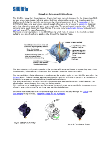 SHURflo BIB Pump | Manualzz