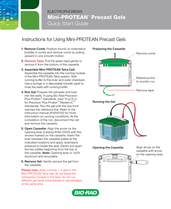 Mini-PROTEAN Precast Gels Quick Start Guide Instructions for Using Mini-PROTEAN Precast Gels ...