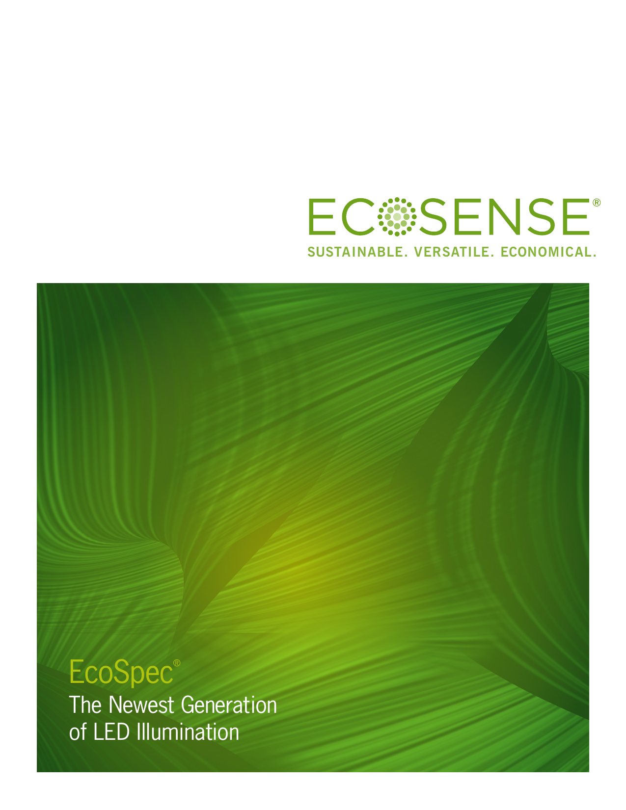 Ecosense Lighting L50 I 12 | Shelly Lighting