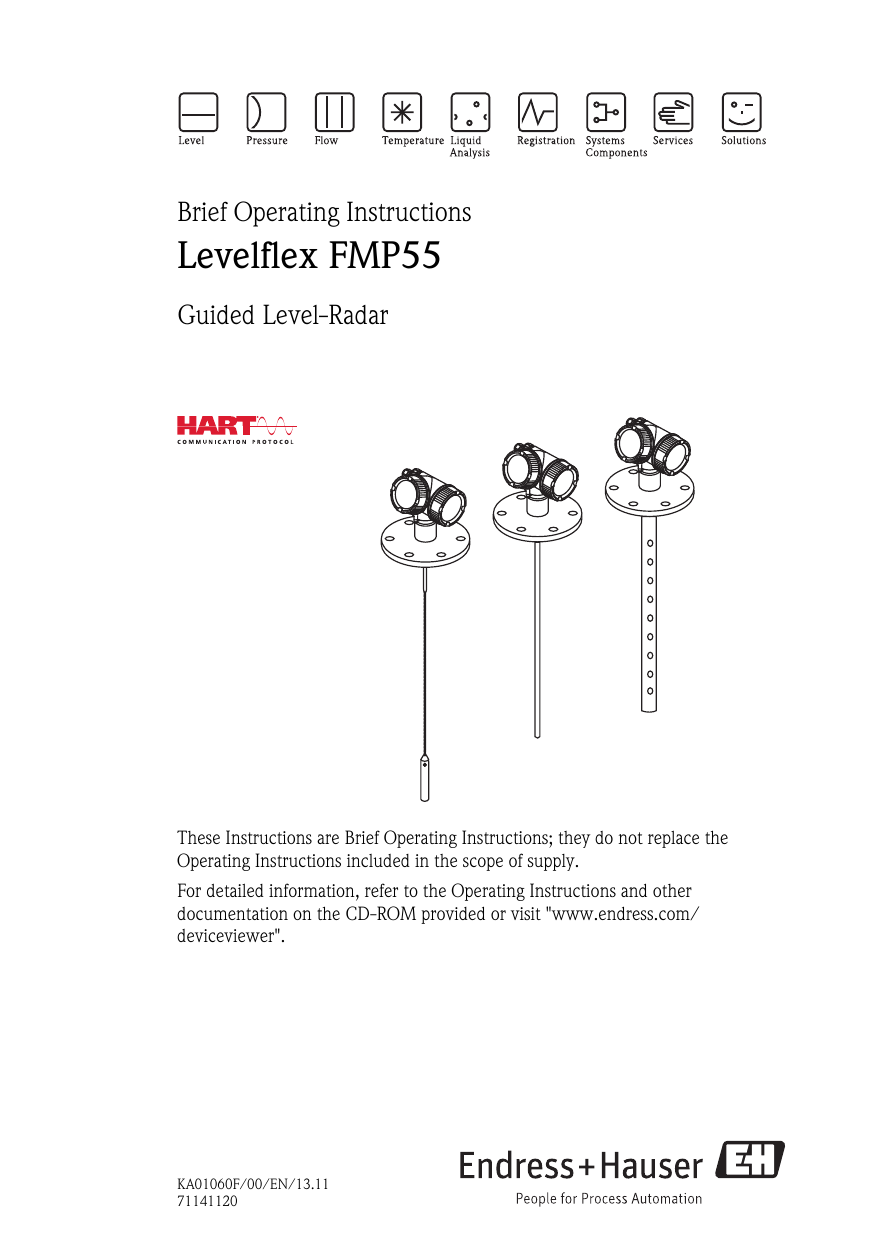 Endres+Hauser Levelflex FMP55 HART Brief Short Instruction | Manualzz