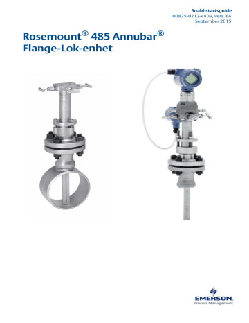 Rosemount 485 Annubar® Flange-Lok-enhet Användarguide | Manualzz