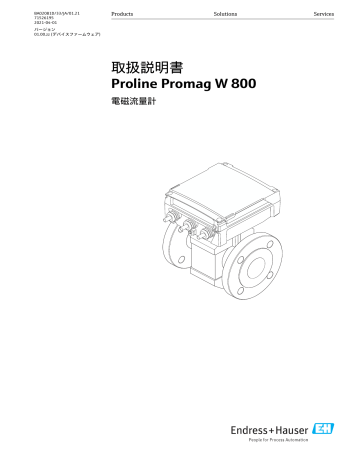 Endres+Hauser Proline Promag W 800 取扱説明書 | Manualzz