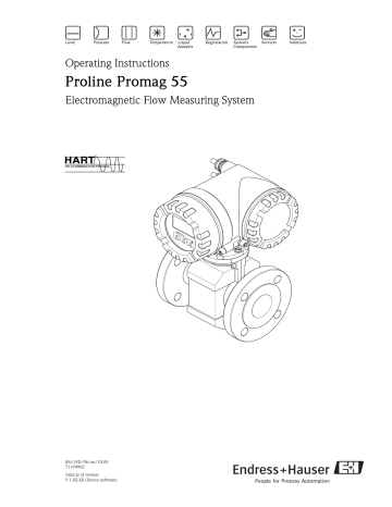 Endres+Hauser Proline Promag 55 Operating Instruction | Manualzz