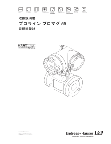 Endres+Hauser PROLINE PROMAG 55 取扱説明書 | Manualzz