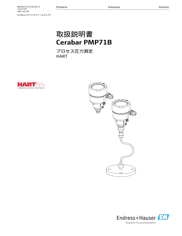 Endres+Hauser Cerabar PMP71B 取扱説明書 | Manualzz