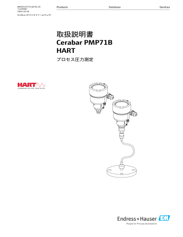 Endres+Hauser Cerabar PMP71B 取扱説明書 | Manualzz