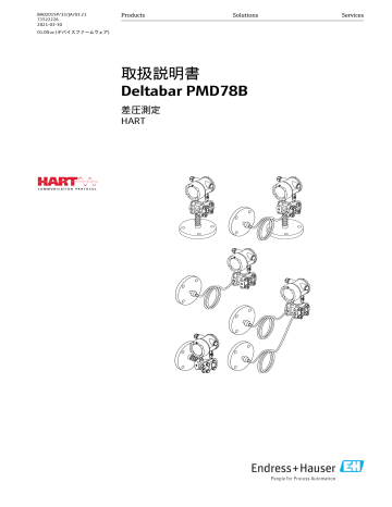 Endres+Hauser Deltabar PMD78B 取扱説明書 | Manualzz