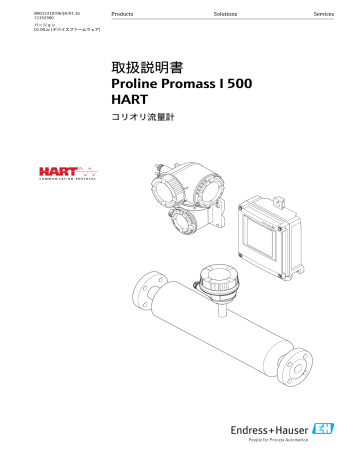 Endres+Hauser Proline Promass I 500 取扱説明書 | Manualzz