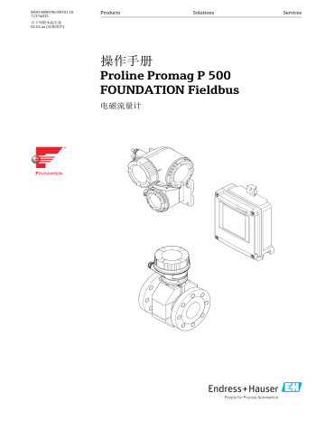 Endres+Hauser Proline Promag P 500 FOUNDATION Fieldbus 取扱説明書 | Manualzz