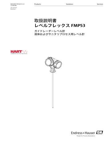 Endres+Hauser Levelflex FMP53 HART 取扱説明書 | Manualzz
