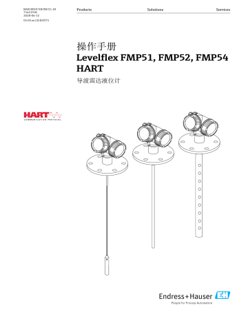 Endres+Hauser Levelflex FMP51, FMP52, FMP54 HART 取扱説明書 | Manualzz