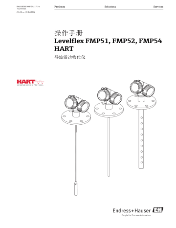 Endres+Hauser Levelflex FMP51, FMP52, FMP54 HART 取扱説明書 | Manualzz