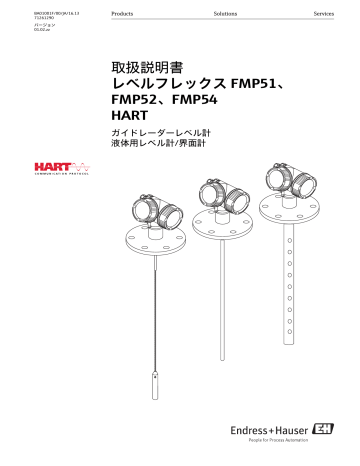 Endres+Hauser Levelflex FMP51, FMP52, FMP54 HART 取扱説明書 | Manualzz