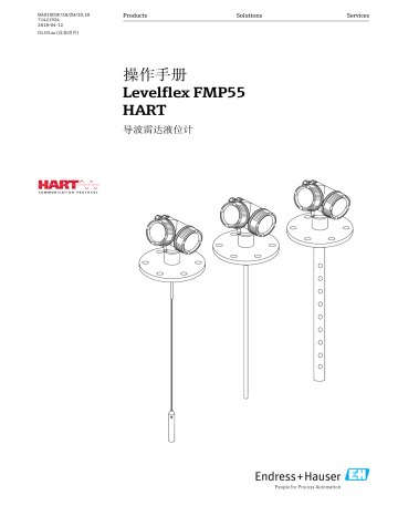 Endres+Hauser Levelflex FMP55 HART 取扱説明書 | Manualzz