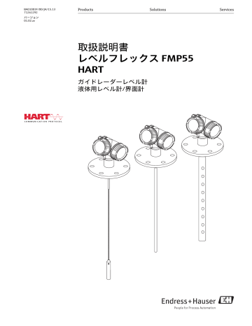 Endres+Hauser Levelflex FMP55 HART 取扱説明書 | Manualzz