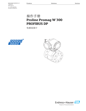 Endres+Hauser Proline Promag W 300 PROFIBUS DP 取扱説明書 | Manualzz