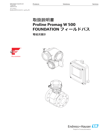 Endres+Hauser Proline Promag W 500 FOUNDATION Fieldbus 取扱説明書 | Manualzz