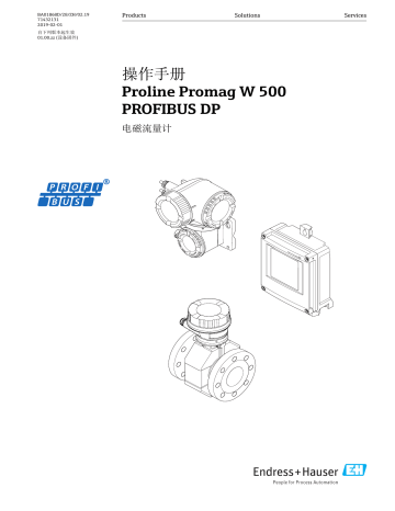 Endres+Hauser Proline Promag W 500 PROFIBUS DP 取扱説明書 | Manualzz