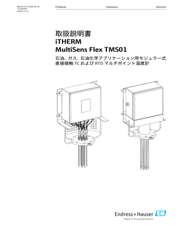 Endres+Hauser iTHERM MultiSens Flex TMS01 取扱説明書 | Manualzz