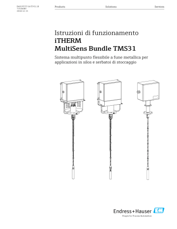 Endres+Hauser iTHERM MultiSens Bundle TMS31 Istruzioni per l'uso | Manualzz