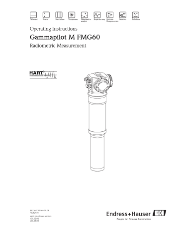 Endres+Hauser Gammapilot M FMG60 HART Operating Instruction | Manualzz