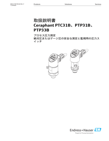 Endres+Hauser Ceraphant PTC31B, PTP31B, PTP33B 取扱説明書 | Manualzz