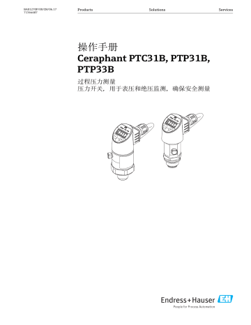 Endres+Hauser Ceraphant PTC31B, PTP31B, PTP33B 取扱説明書 | Manualzz