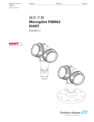 Endres+Hauser Micropilot FMR62 HART 取扱説明書 | Manualzz
