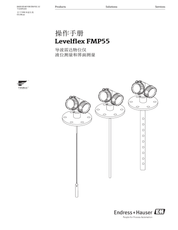 Endres+Hauser Levelflex FMP55 FOUNDATION Fieldbus 取扱説明書 | Manualzz
