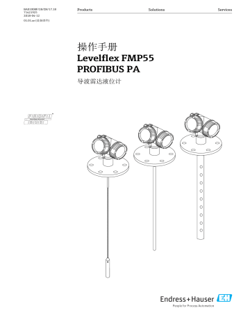 Endres+Hauser Levelflex FMP55 PROFIBUS PA 取扱説明書 | Manualzz