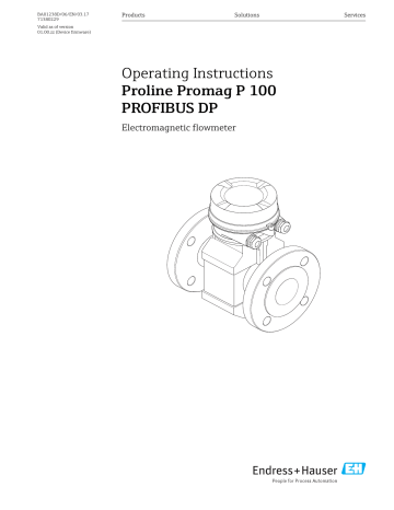 Endres+Hauser Proline Promag P 100 PROFIBUS DP Operating Instruction ...