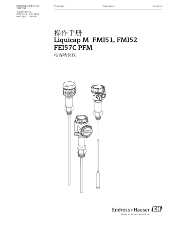 Endres+Hauser Liquicap M FMI51, FMI52 FEI57C PFM 取扱説明書 | Manualzz