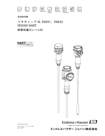 Endres+Hauser Liquicap M FMI51, FMI52 FEI50H HART 取扱説明書 | Manualzz